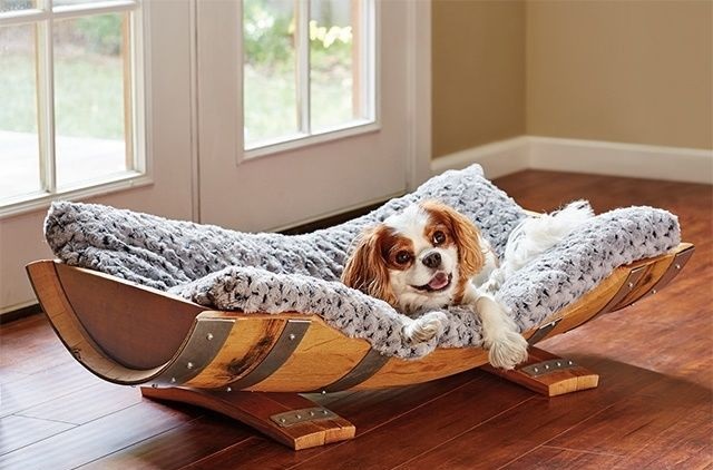 خانه سگ - فن و هنر