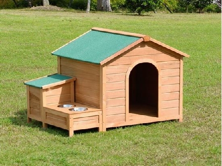 خانه سگ، لانه سگ بزرگ با تراس - فن و هنر