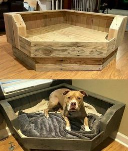 تولید لانه حیوانات، خانه سگ چوبی، خانه گربه - فن و هنر